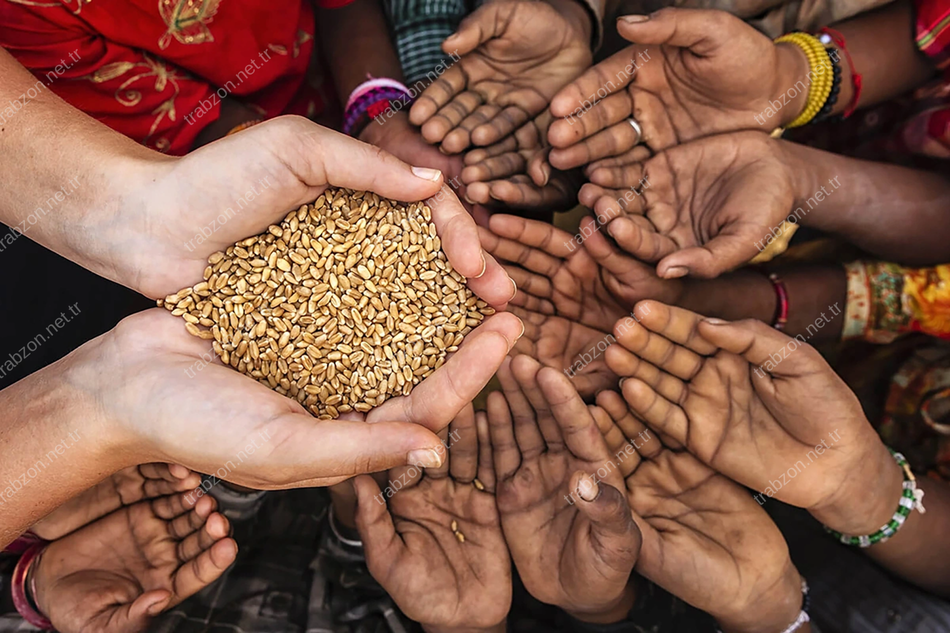 Zekat nedir, Kimlere verilir, Nasıl hesaplanır? - Trabzon Tatil ve Gezi ...